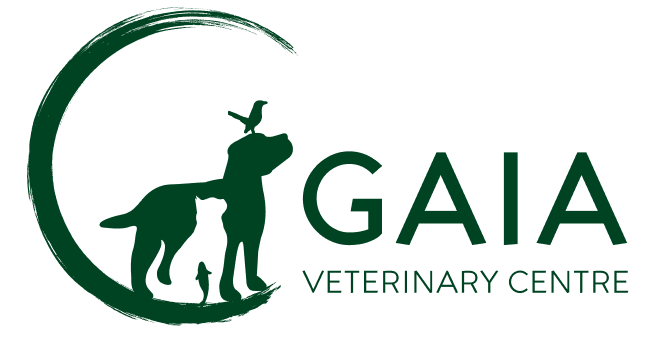 What's The Difference Between Tame and Domesticated Animals?